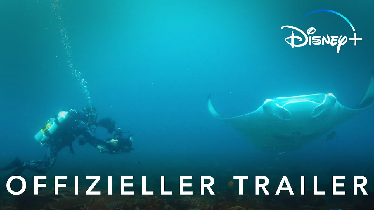 Tiere Hautnah Mit Bertie Gregory ab September auf Disney+ ... Tiere Hautnah Mit Bertie Gregory ab September auf Disney+ ...